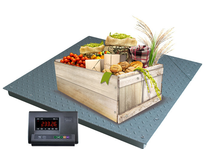 5T 50HZ Digital Industrial Floor Scales With Ramp