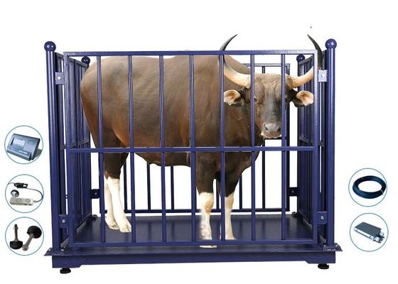 Vet LED KELI Electronic Cattle Weighing Scales Bluetooth