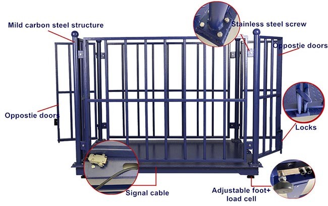 Animal Cow Weight Scale (ACWS-1020-2TF)-2000KG - Safestallbd